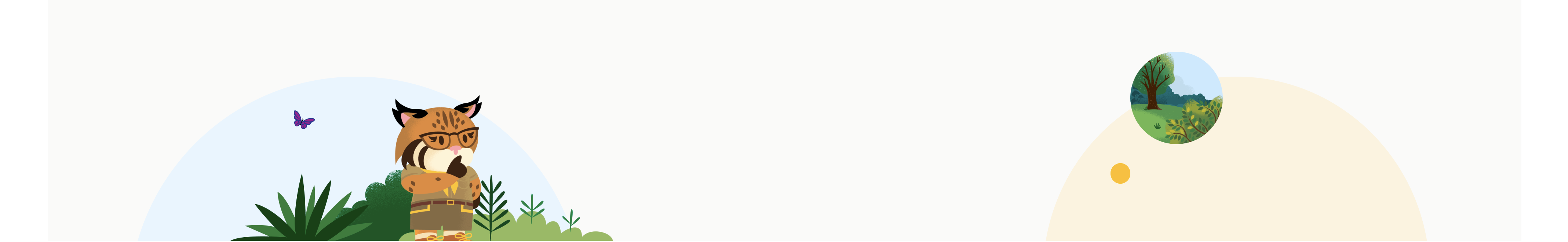 Salesforce Help | Products